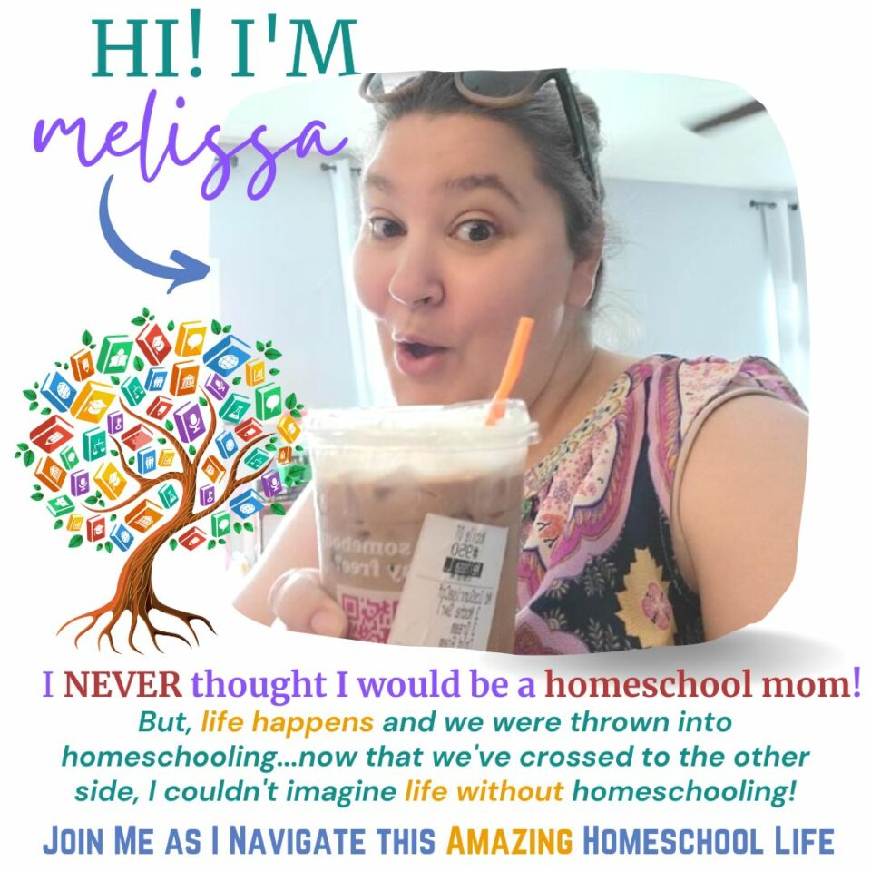 Reading Rewards Programs - Our Adventures in Homeschooling