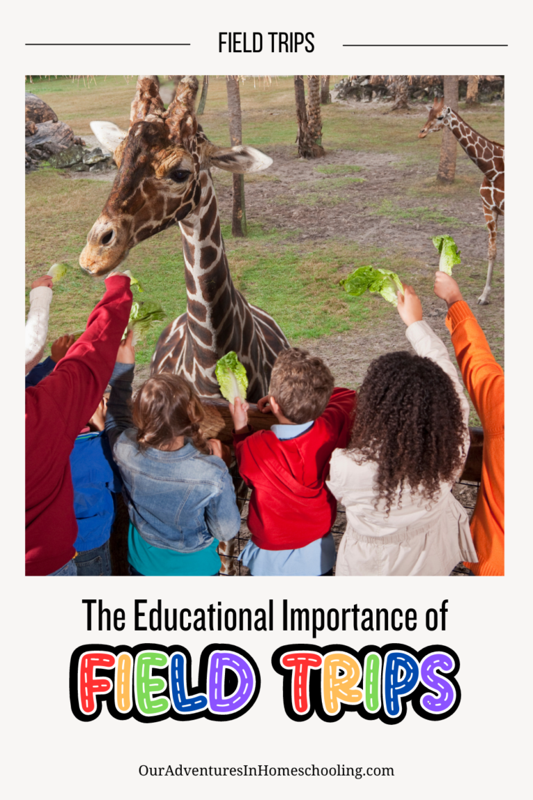 The Importance of Field Trips - Our Adventures in Homeschooling