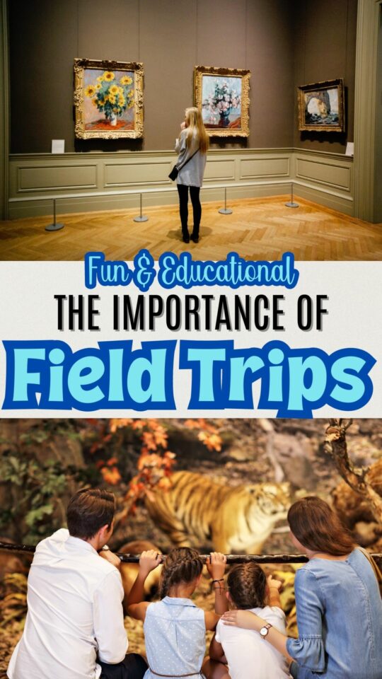 The Importance of Field Trips - Our Adventures in Homeschooling